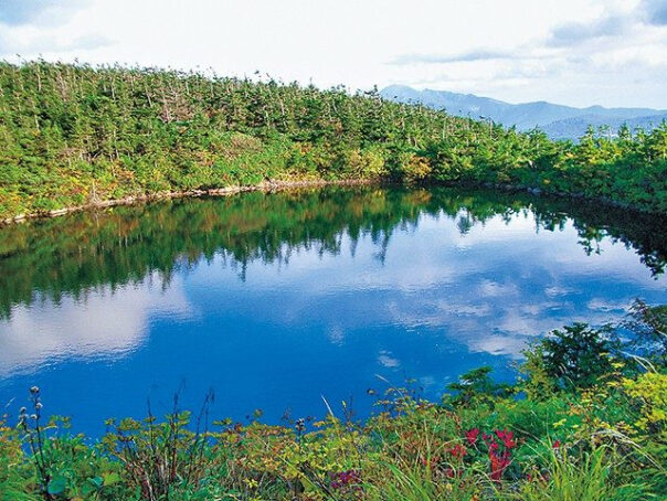 八幡平で爽快トレッキング 自然と絶景を楽しもう！ | 山と高原地図Web